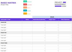 6 RACI Matrix Alternatives to Help Define Project Roles